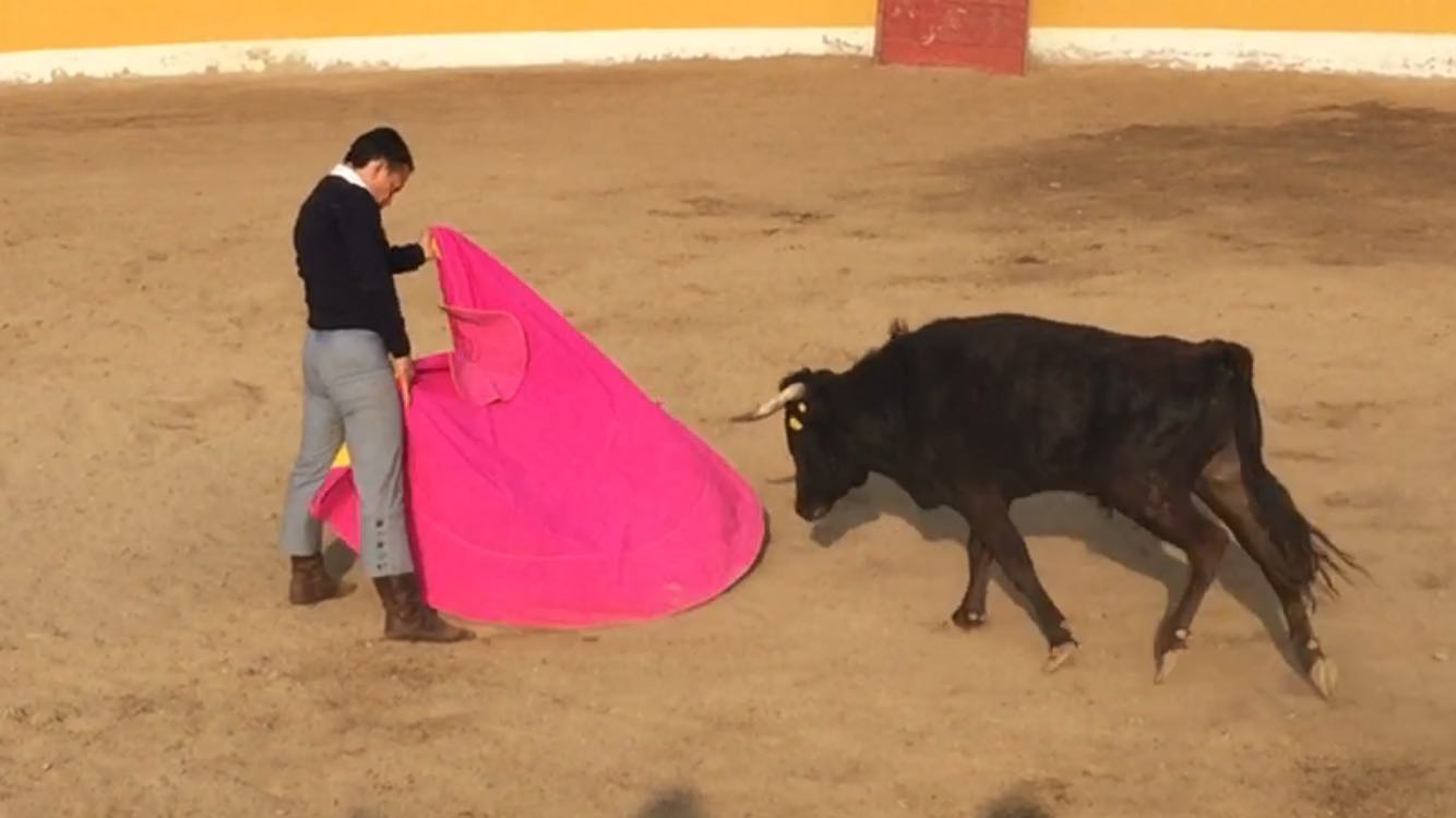 TORERIAS DE CHELIN: APOTEOSICO TRIUNFO DE CHIBOLO DE LIMA EN LURIN LIMA ...