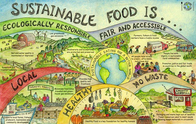 Sustainable Foods ~ Organic Food