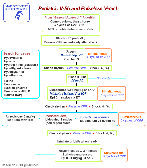 Algoritma ACLS, Advance Cardiac Life Support Algorithm Medical Articles