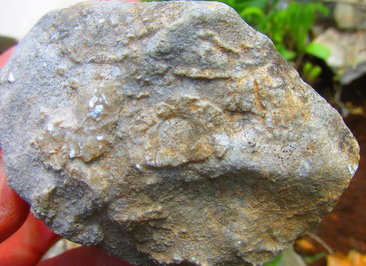 HERCEGOVINA-GEOARHEO: NEUMSKA OKAMENJENA LAGUNA; PREKRASNO OČUVANI ...