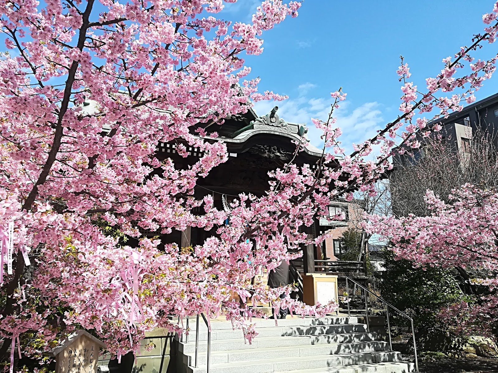 🗾 What to visit: Sakura Shrine in Setagaya, Tokyo - The Teeny tiny à ...
