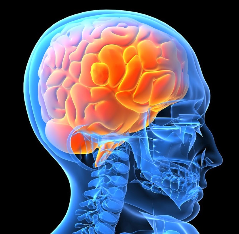 The Vinod Wadhawan Blog: 123. Probing the Human Brain