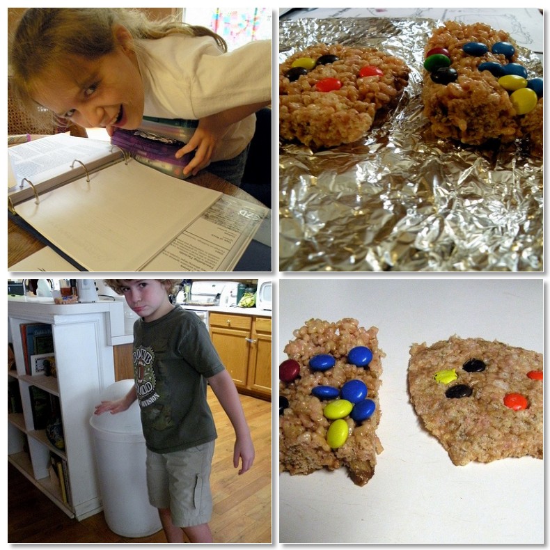 The Fantastic Five: Sedimentary, Igneous, and Metamorphic Rock Projects