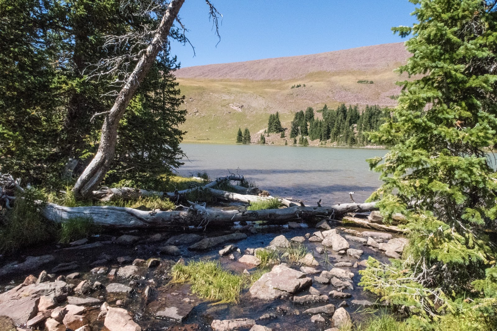 Eric's Hikes: Uinta Highline Trail Day 3: Summit Park to Chepeta Lake