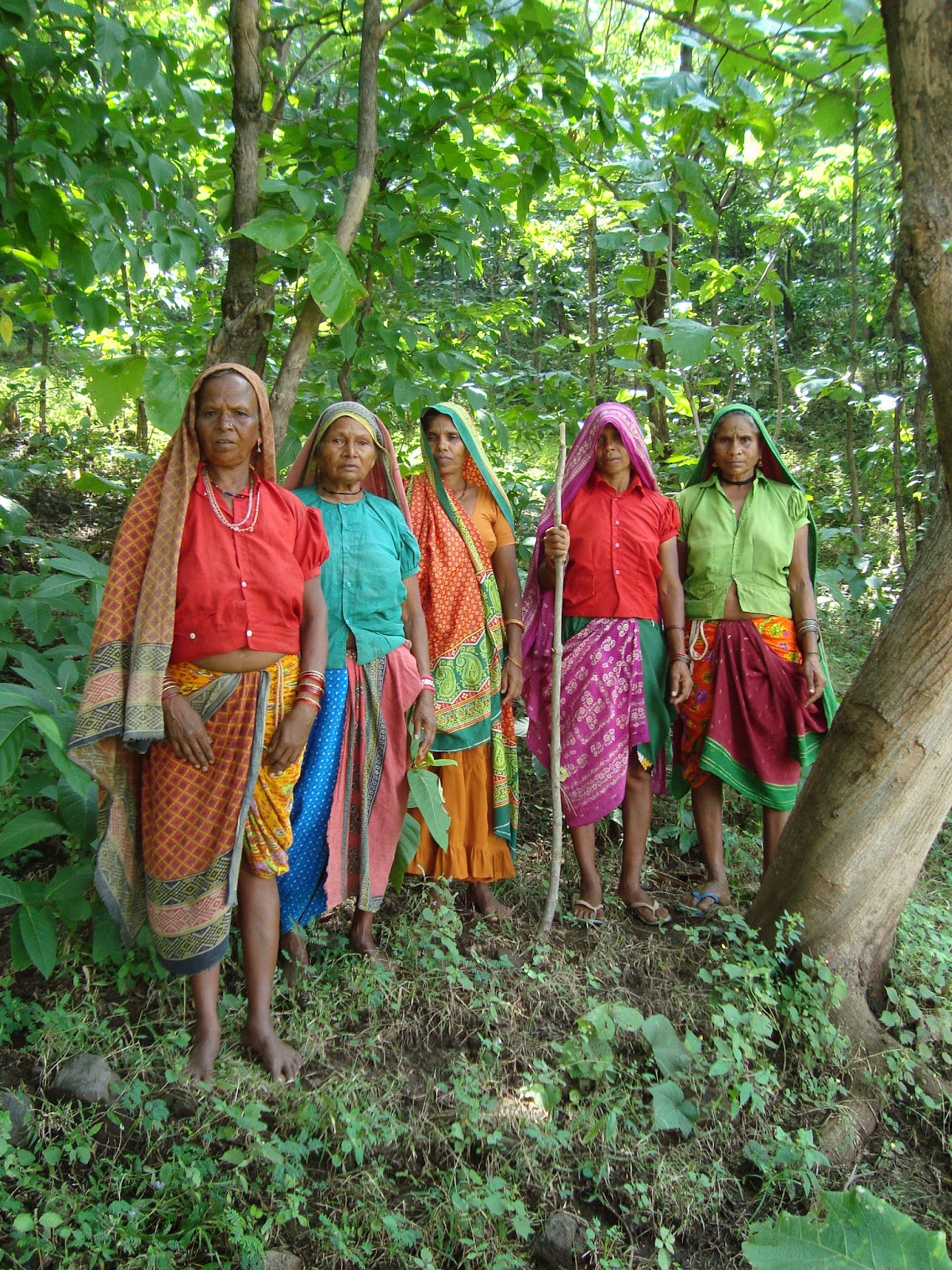 Anaarkali - The Saga of Bhil Adivasi Indigenous People: Celebration of ...