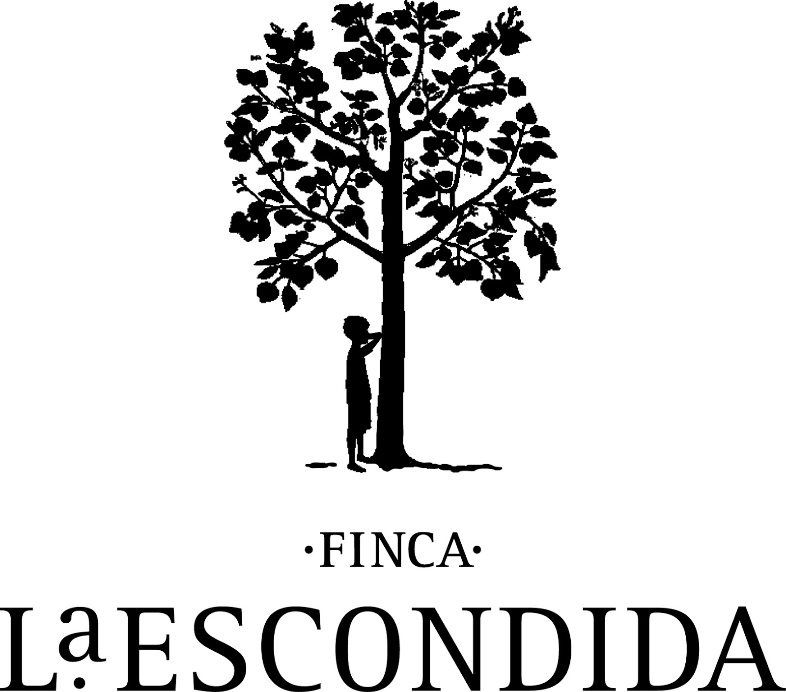 Blog de Vinos y Ar-Té: Bella imagen para Finca La Escondida