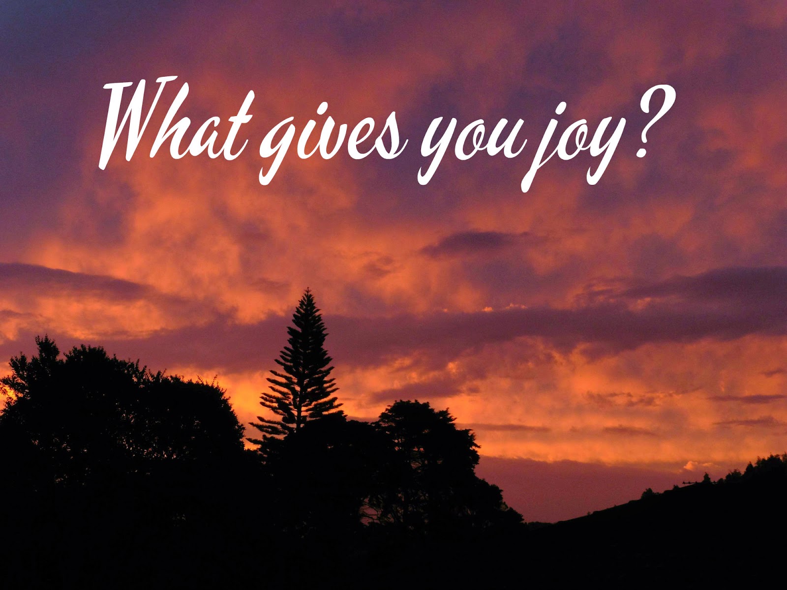 What Gives You Joy? - Four Seasons in One Kiwi