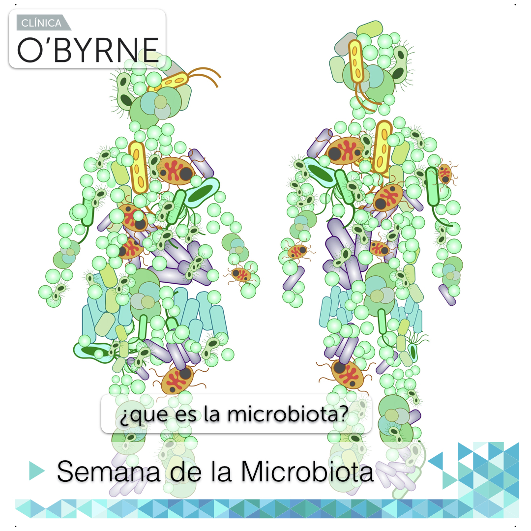 ÓRBITA CUATRO: LA MICROBIOTA HUMANA