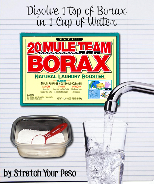 Termite Mound Borax Kills Termites