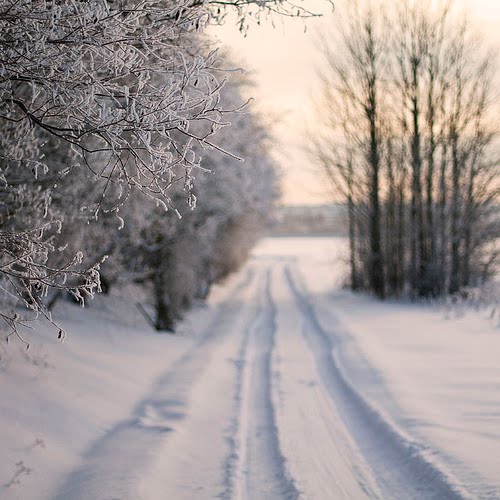 Content in a Cottage: Just Enough Snow