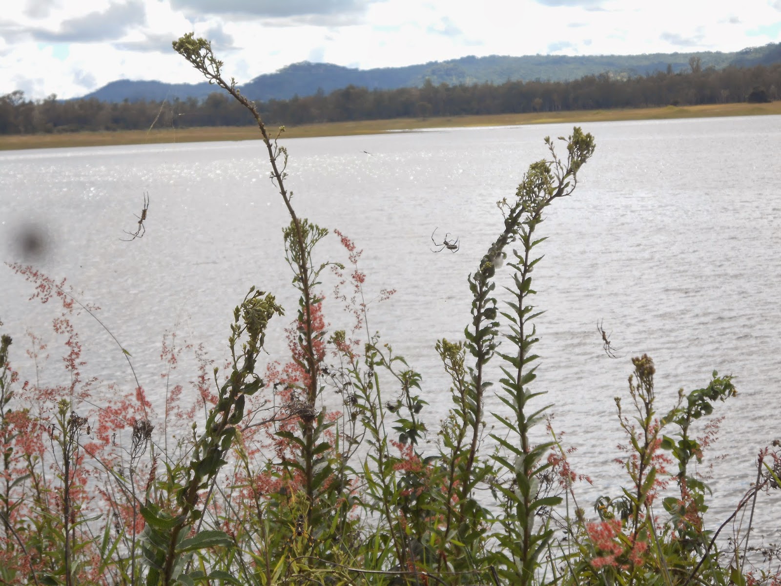 Well, It's Africa...: Hiking the Mazoe Dam