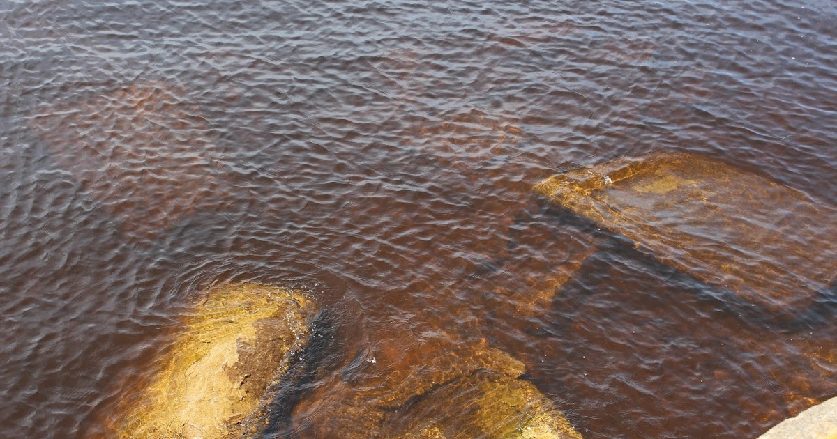 The Cool Science Dad: Upper Peninsula Trip #7: Red Lake Water