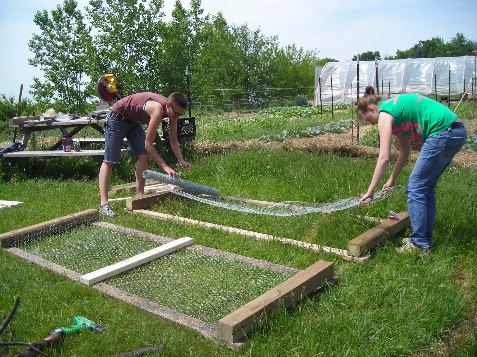 Kalamazoo College Slow Farming Senior Capstone: Duck Run Construction