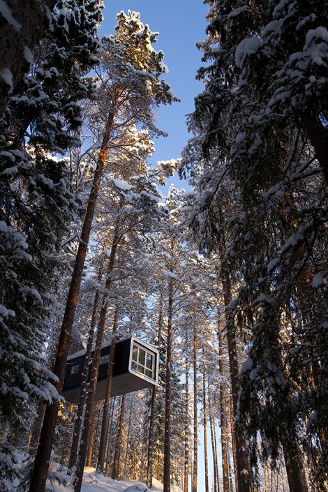 Rants, Raves, Reviews & Reflections: Treehotel