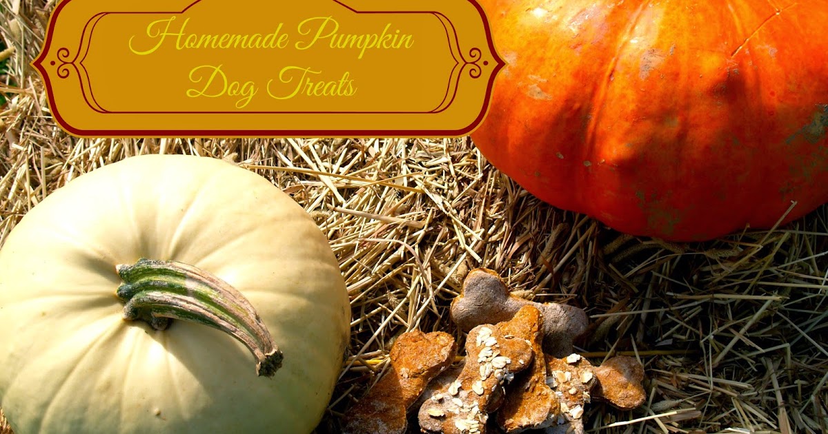 My Rotten Dogs: Homemade Pumpkin Dog Treats