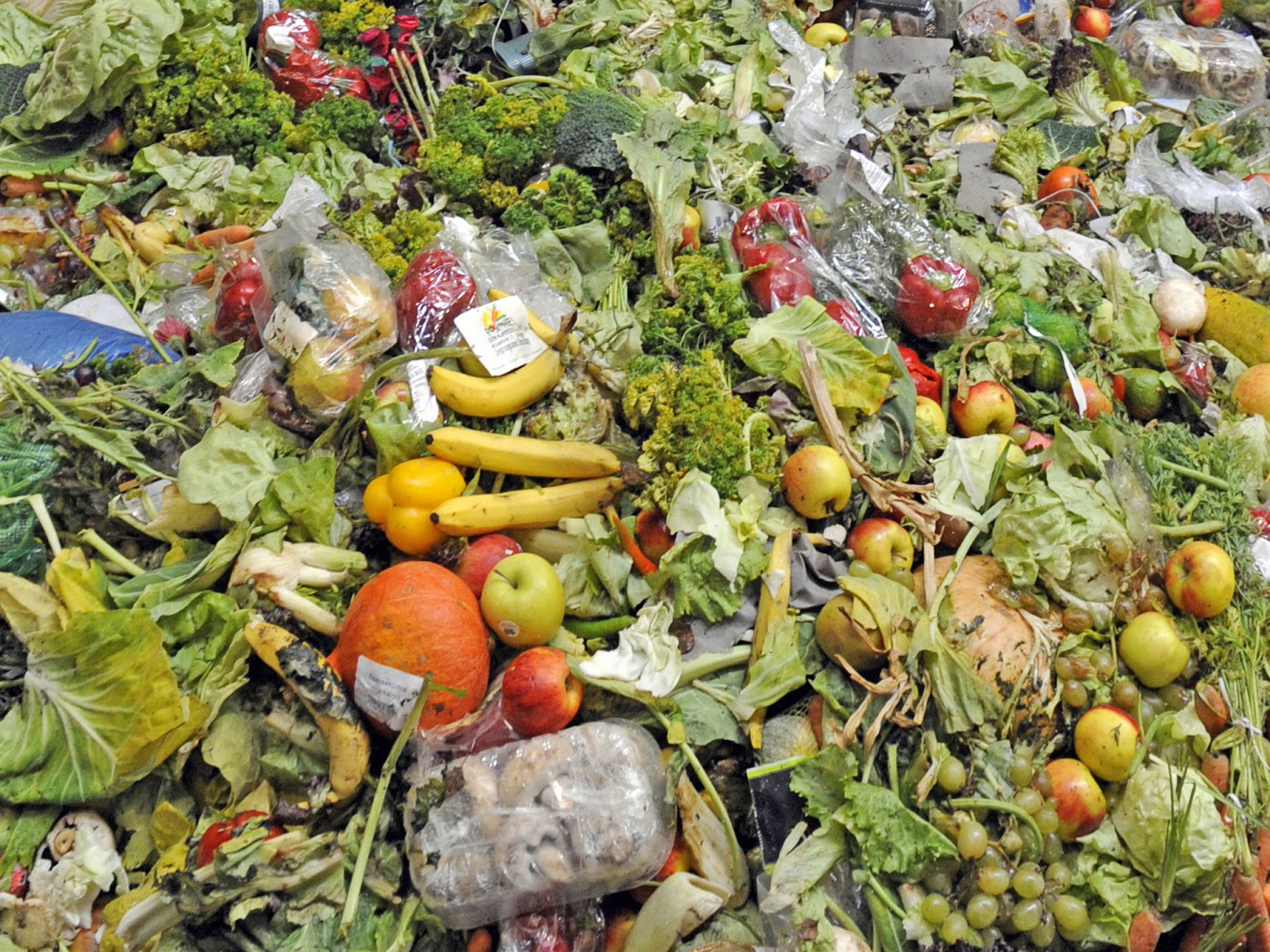 TrustMovies DVDebut Food Waste Gets Its Comeuppance In Baldwin trustmovies-dvdebut-food-waste-gets-its-comeuppance-in-baldwin