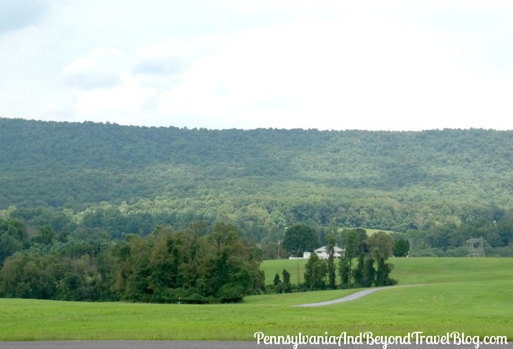 Pennsylvania & Beyond Travel Blog: Hiking at Boyd Big Tree Preserve ...