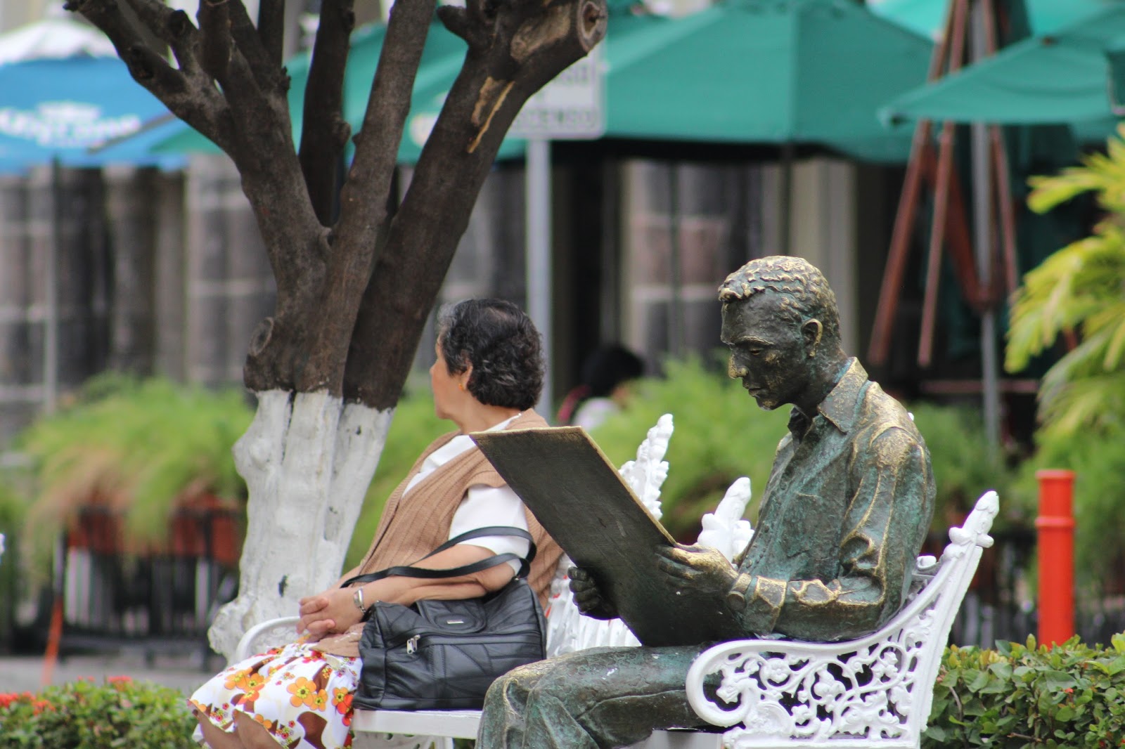 SALA DE LECTURA " ENSUEÑOS DE UN PERRO COLIMOTE"