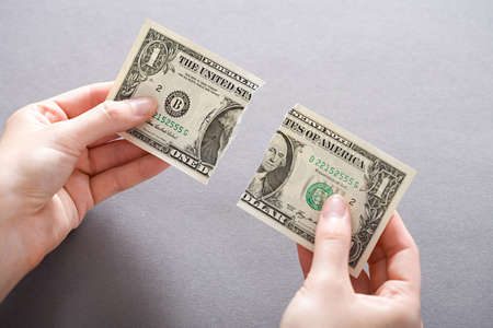 Peacelight: Half Dollar