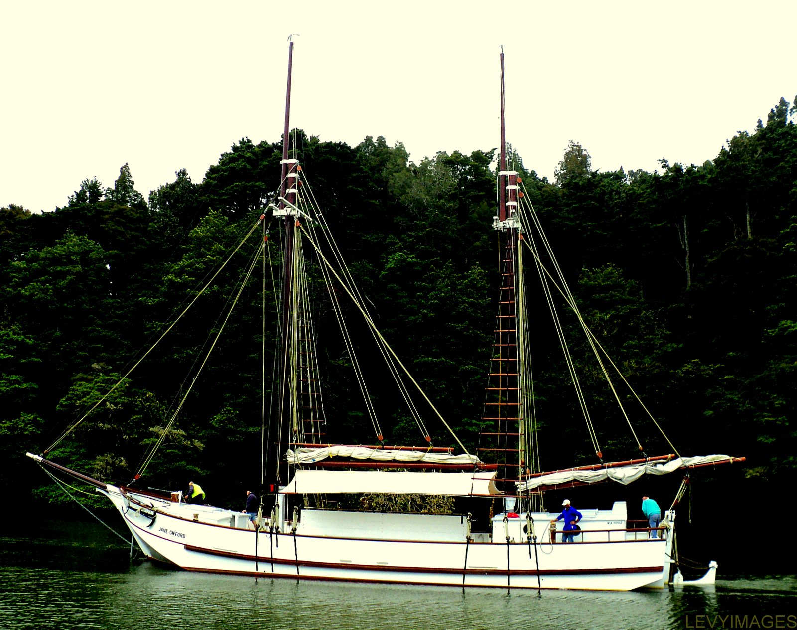 The Flying Tortoise: Junk Rig Sailing Regatta On The Beautiful Mahurangi...