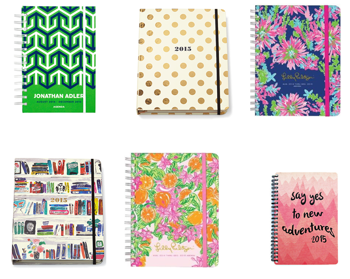My Top 6 Agendas - The Trendy Chick