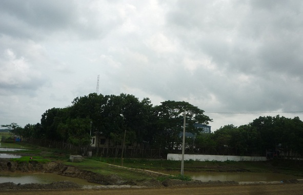 Homna - Comilla: Chandina Upazila Comilla | Pics Collection 1