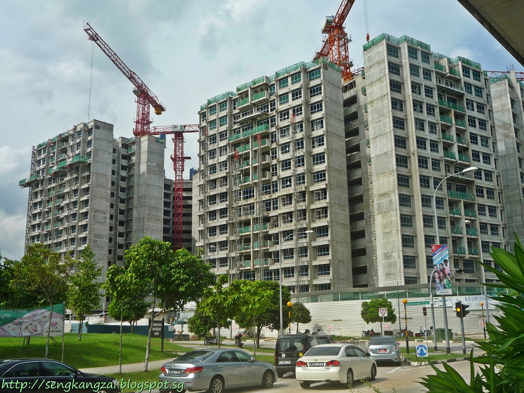 Zai@Sengkang: Anchorvale Cove (Yr 13 Wk 32)
