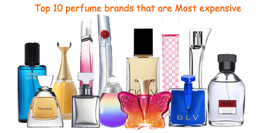 Top 10 Perfume Brands - Most Expensive