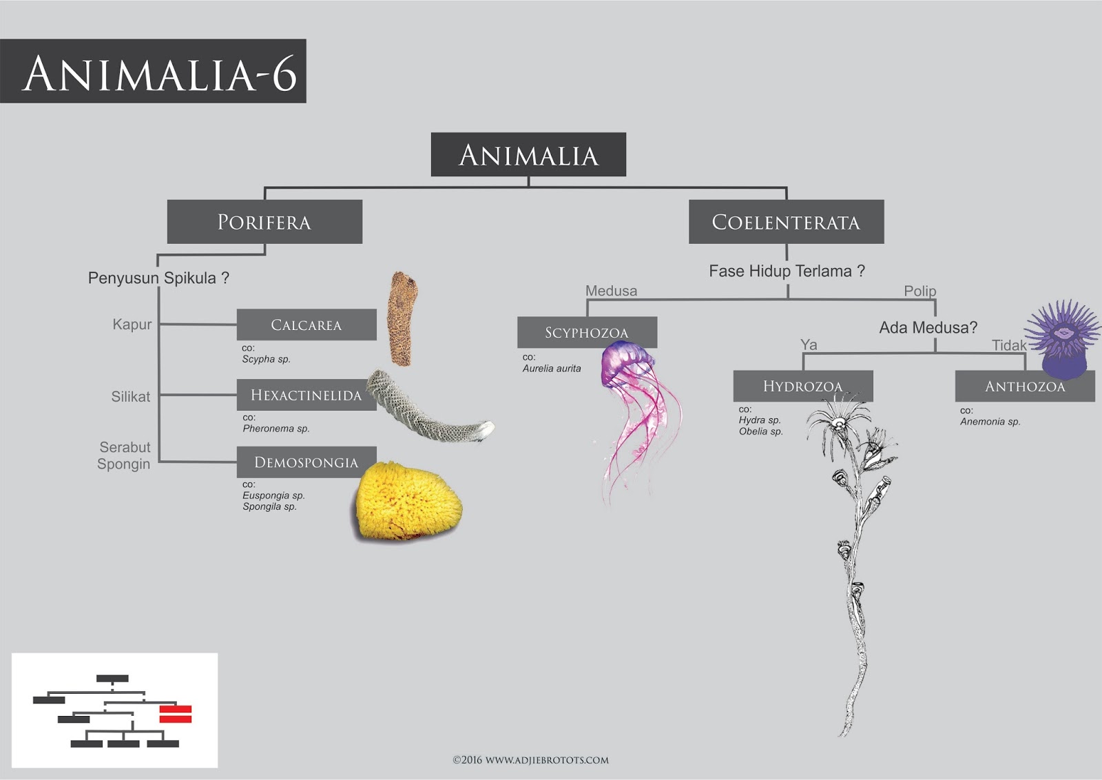 Mind Map Klasifikasi Makhluk Hidup