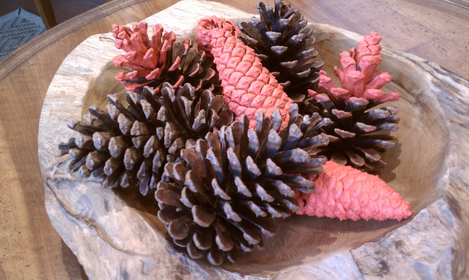 Nadia's DIY Projects: DIY Paint Dipped Pine Cones
