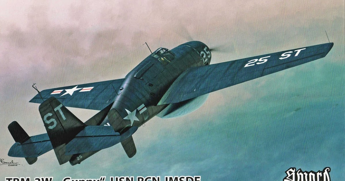 Tailhook Topics: Sword TBM-3W