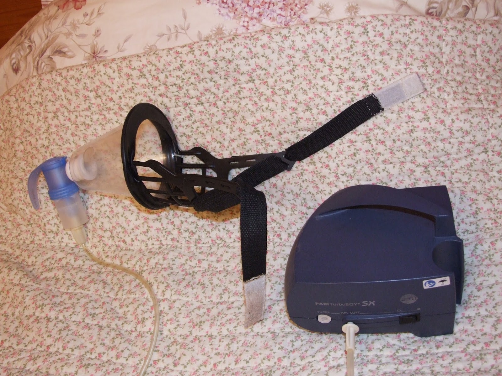 CANINE ASPERGILLOSIS, NASAL FUNGUS IN DOGS: August 2016