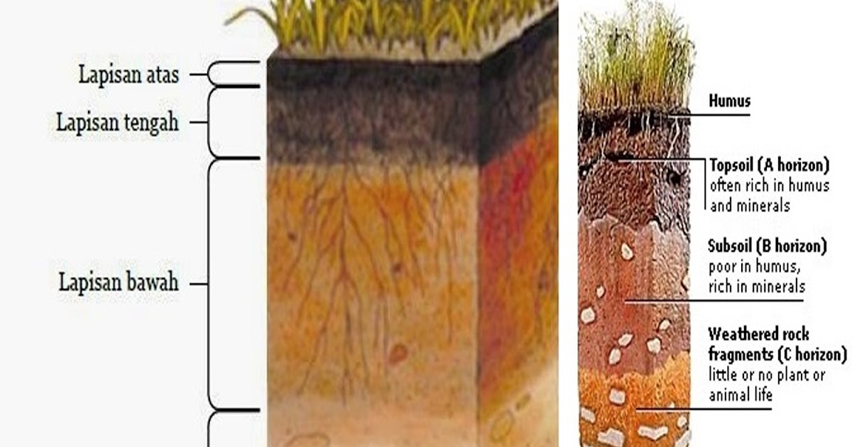 MINGGU KE-4 EKSPERIMEN MENENTUKAN TEKSTUR TANAH | CIKGU LADANG
