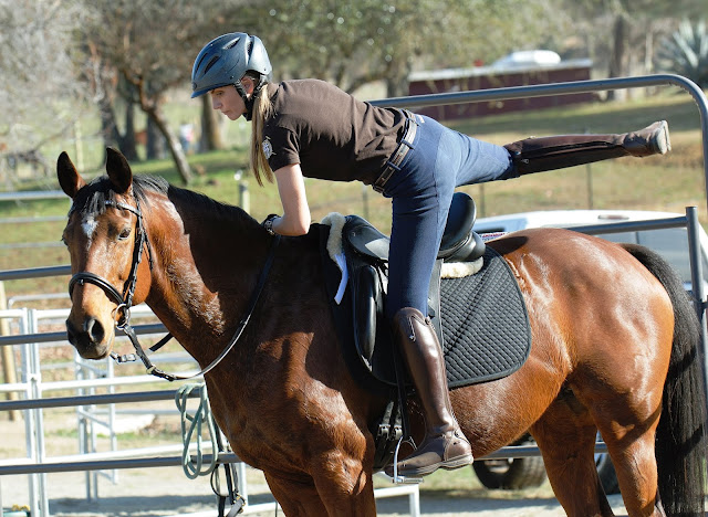 Equestrian 101: (i) Mounting a Horse - ZAHRAH SHEIKH