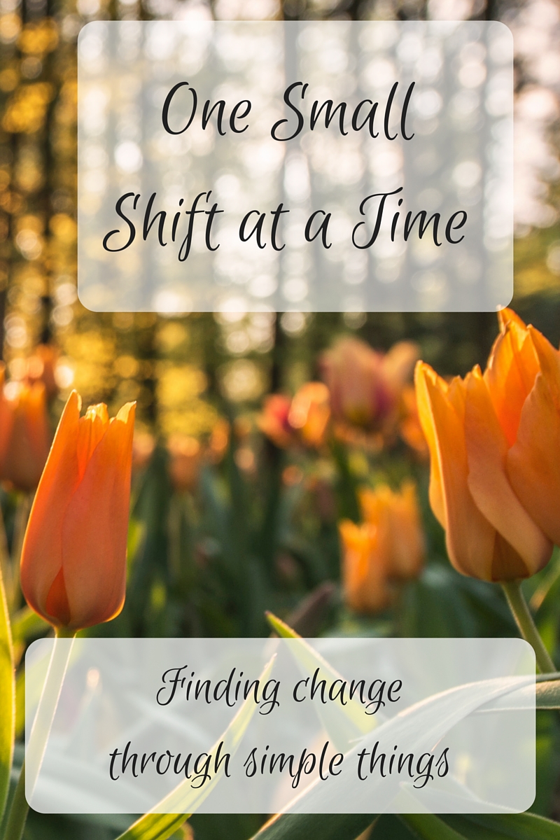 Parenting From Source- the Blog of Christina Fletcher: One Small Shift