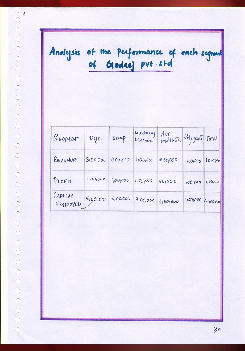 PRACTICAL ACCOUNTANCY: Specific project - 1 Segment Analysis