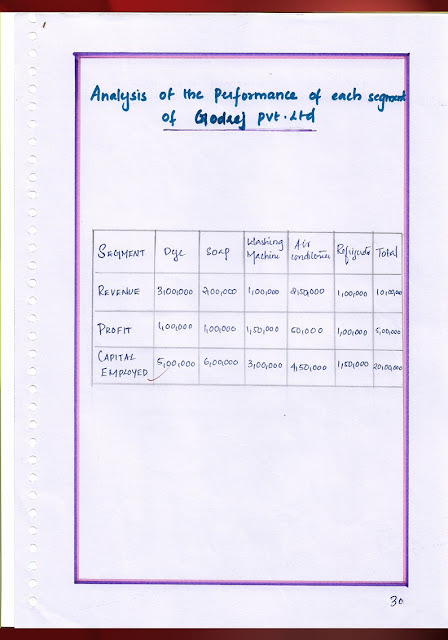 PRACTICAL ACCOUNTANCY: Specific project - 1 Segment Analysis