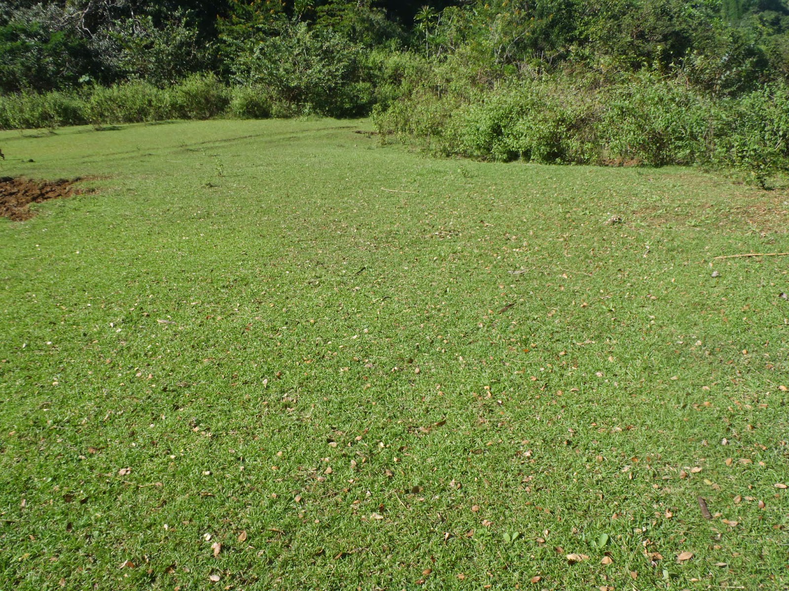 Made Today: January 2015