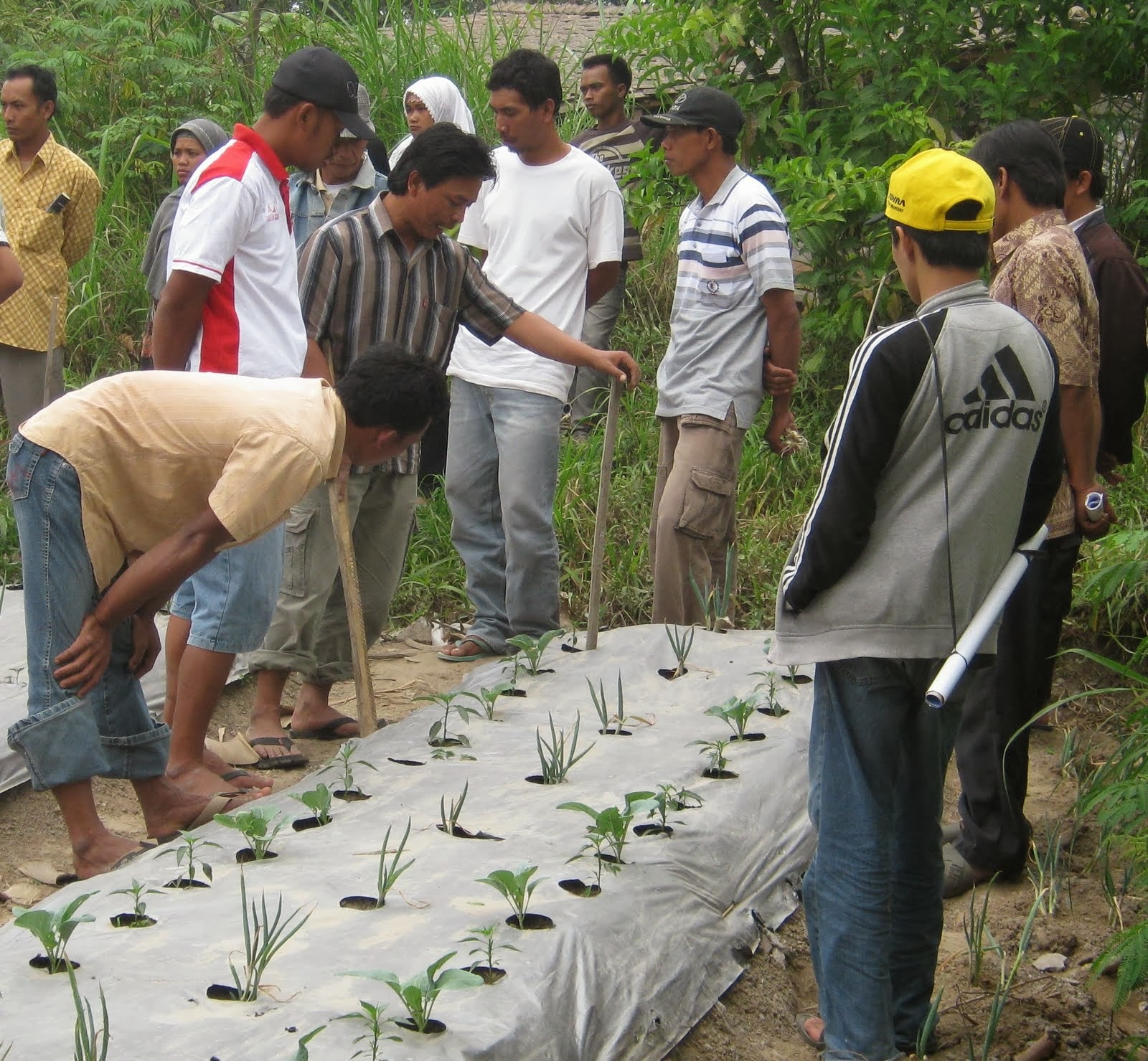Memulai Usaha Toko Pertanian - Learning Should be Fun