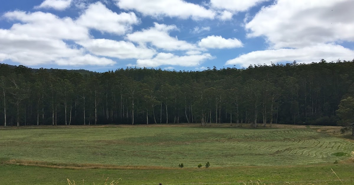 RDO Melbourne: Tooronga Falls, Noojee