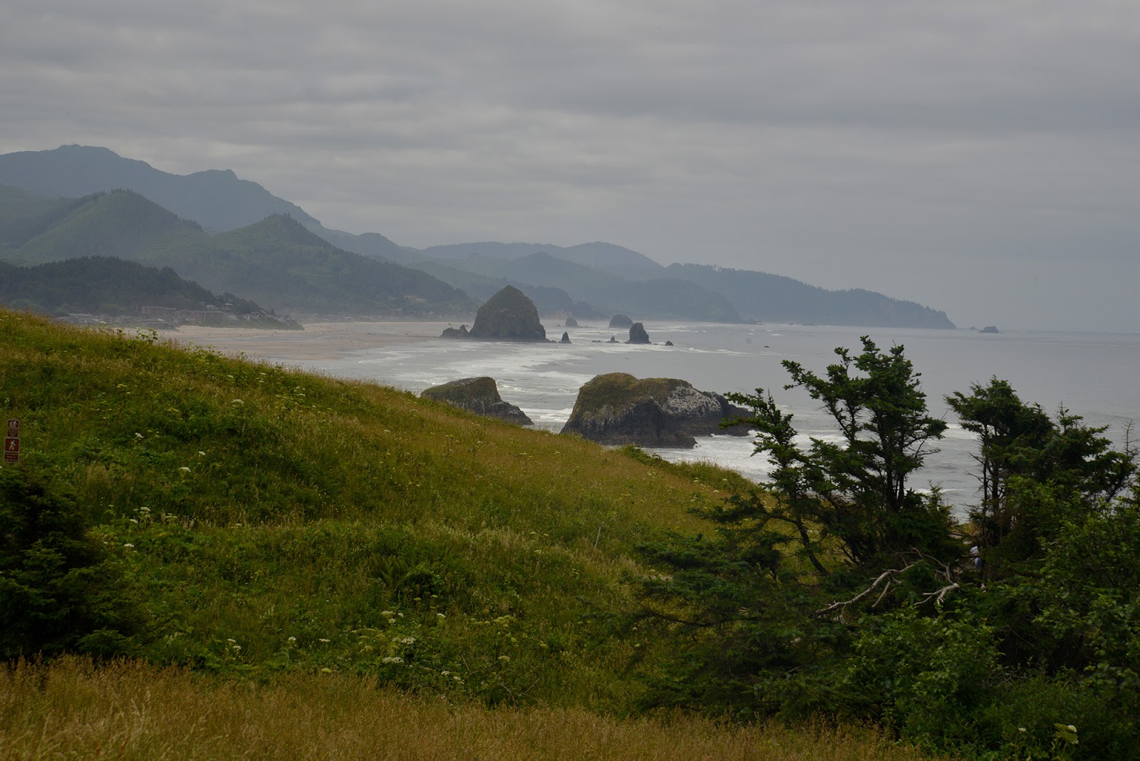 Oregon Coast Tide Pools at Hug Point and Cannon Beach - light-in-leaves