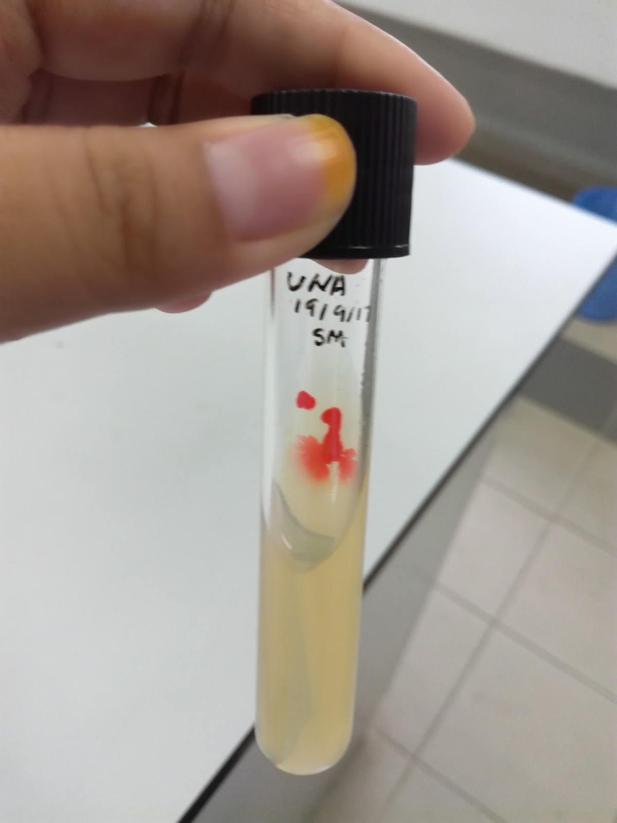 THE FIRST EXPERIMENT