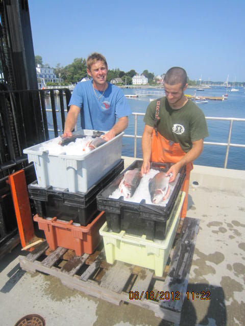 NH Sustainable Marine Fisheries: Steelhead trout aquaculture: N.H ...