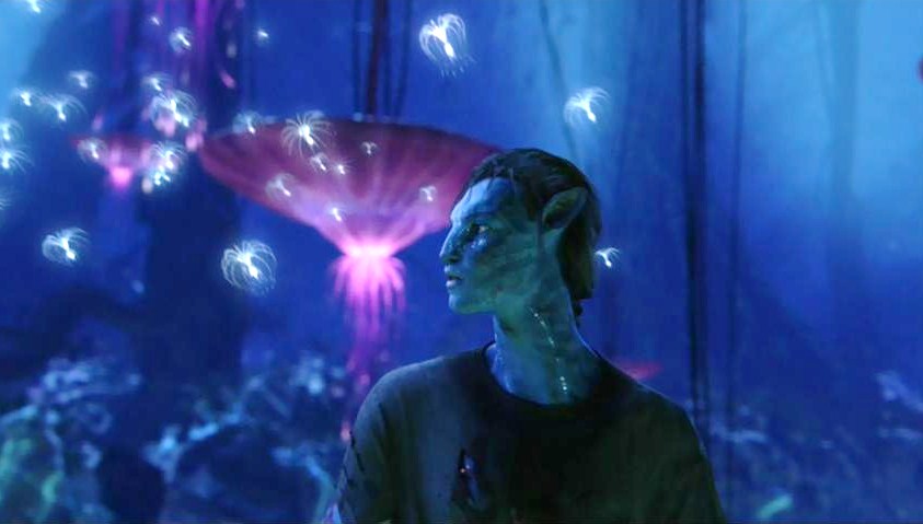 John Kenneth Muir's Reflections on Cult Movies and Classic TV: CULT ...