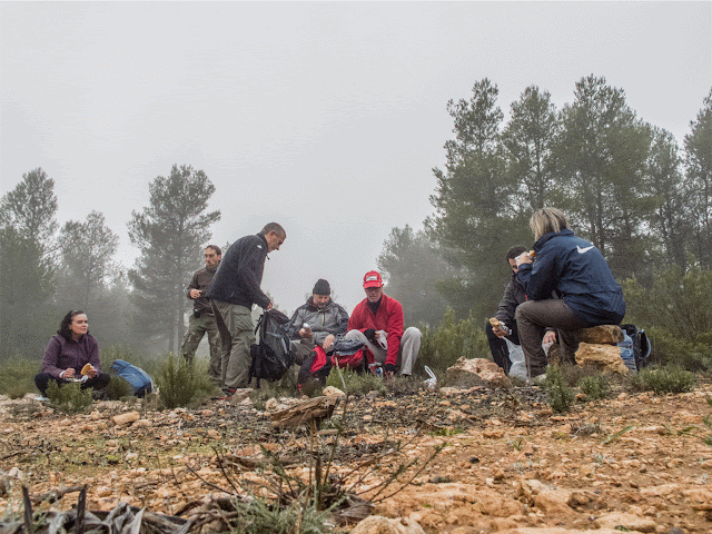 Peña Senderista Esto Se Empina: - GIFS SUBIDA AL MONTE ALCOLA (24-11-12)