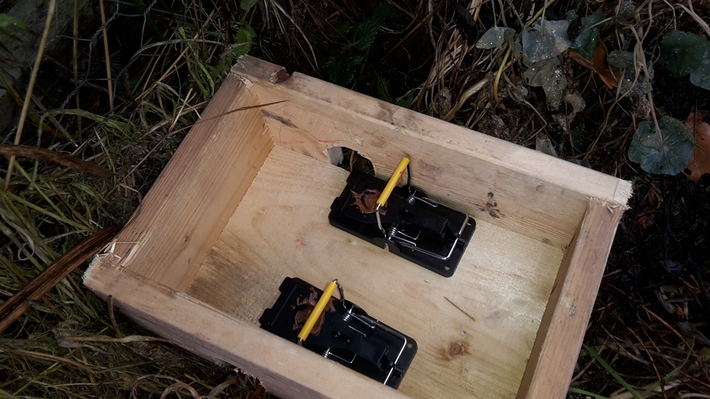 An English Homestead: Mouse Trap Stations