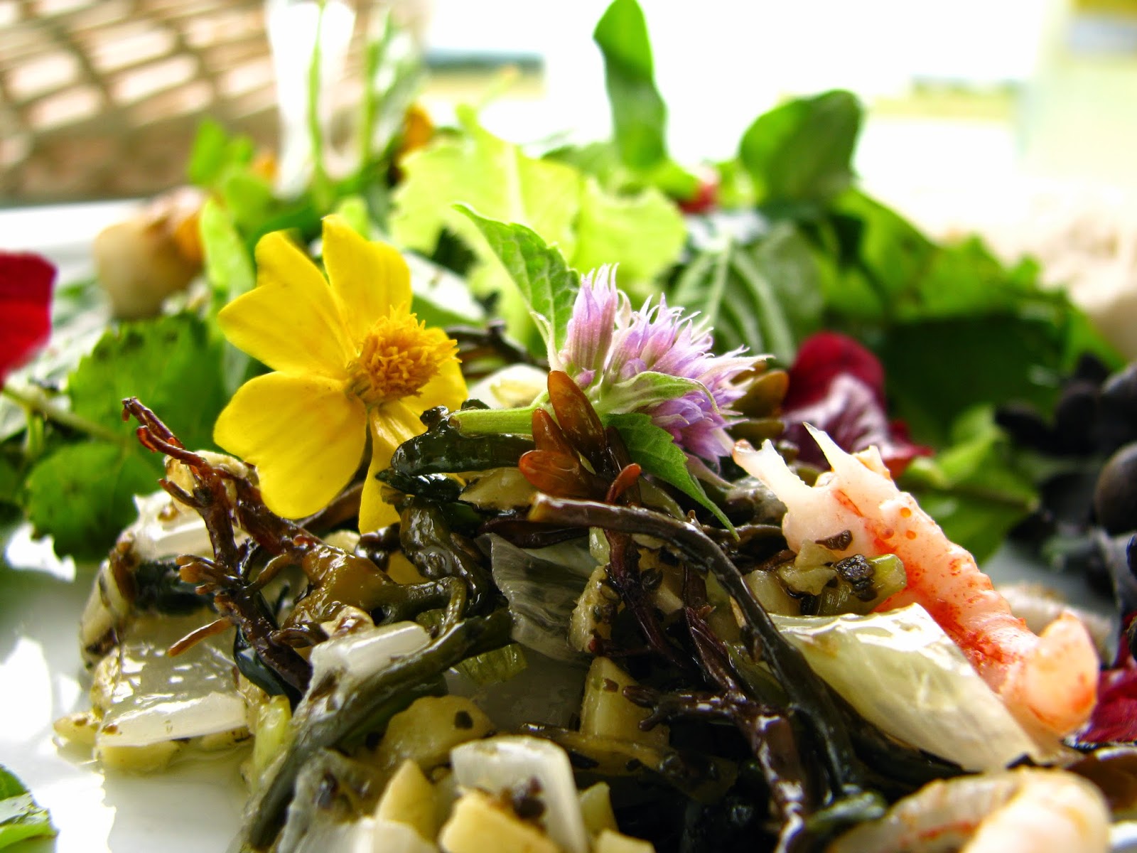 Tang Mad Fra Hav: Når en spiselige blomster nørd mødes med en spiselig ...