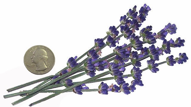 Whom You Know: Fresh Origins December 2013 What’s New on the Farm ...