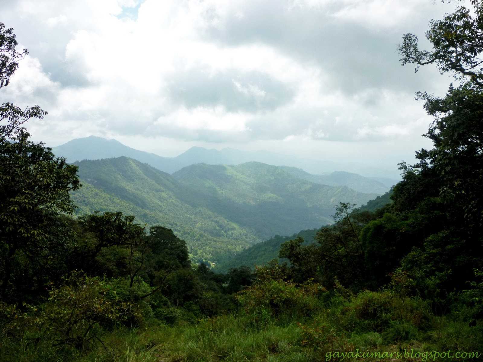 A Trip To PaithalMala: PaithalMala / Vaithalmala