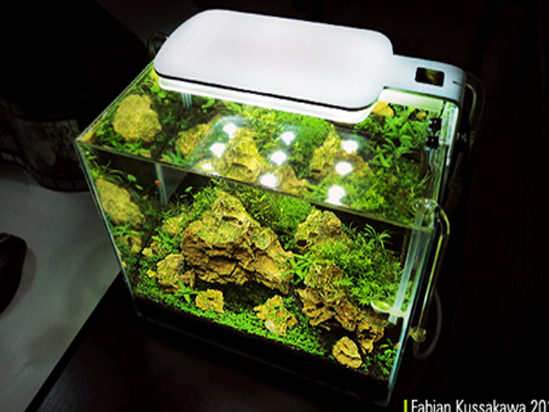 AquaLed - Iluminação e Design.: Especialistas em iluminação Led para ...